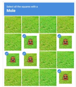How to Solve Level 10 in I’m Not a Robot (Neal.fun) - Stealthy Gaming
